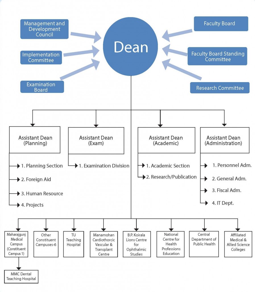 Organogram - Institute of Medicine